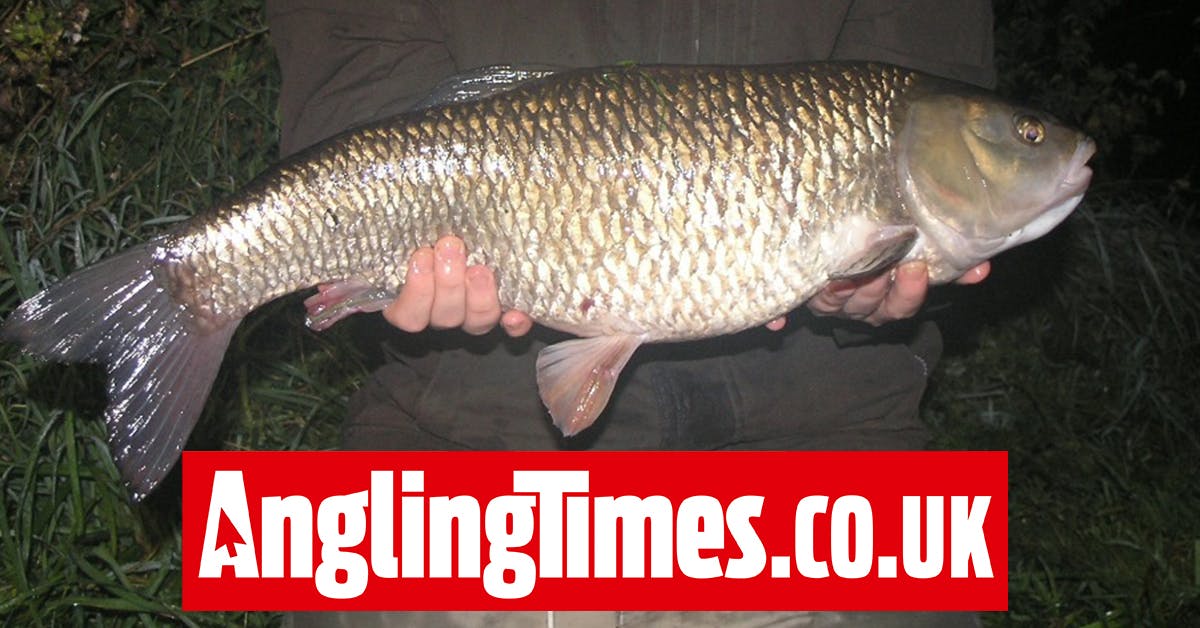 First Thames chub is an absolute beast! | Angling Times