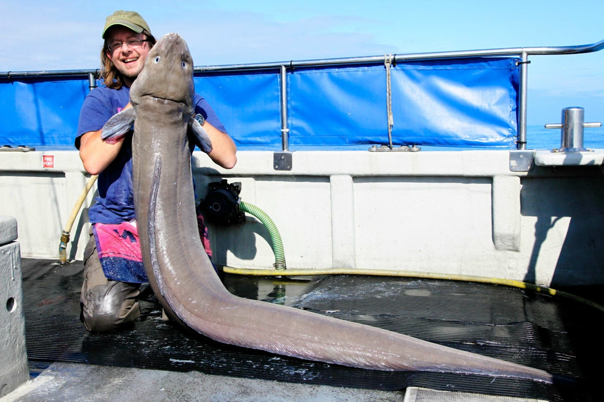 The fish you can catch at your local beach right now…and how to do it ...