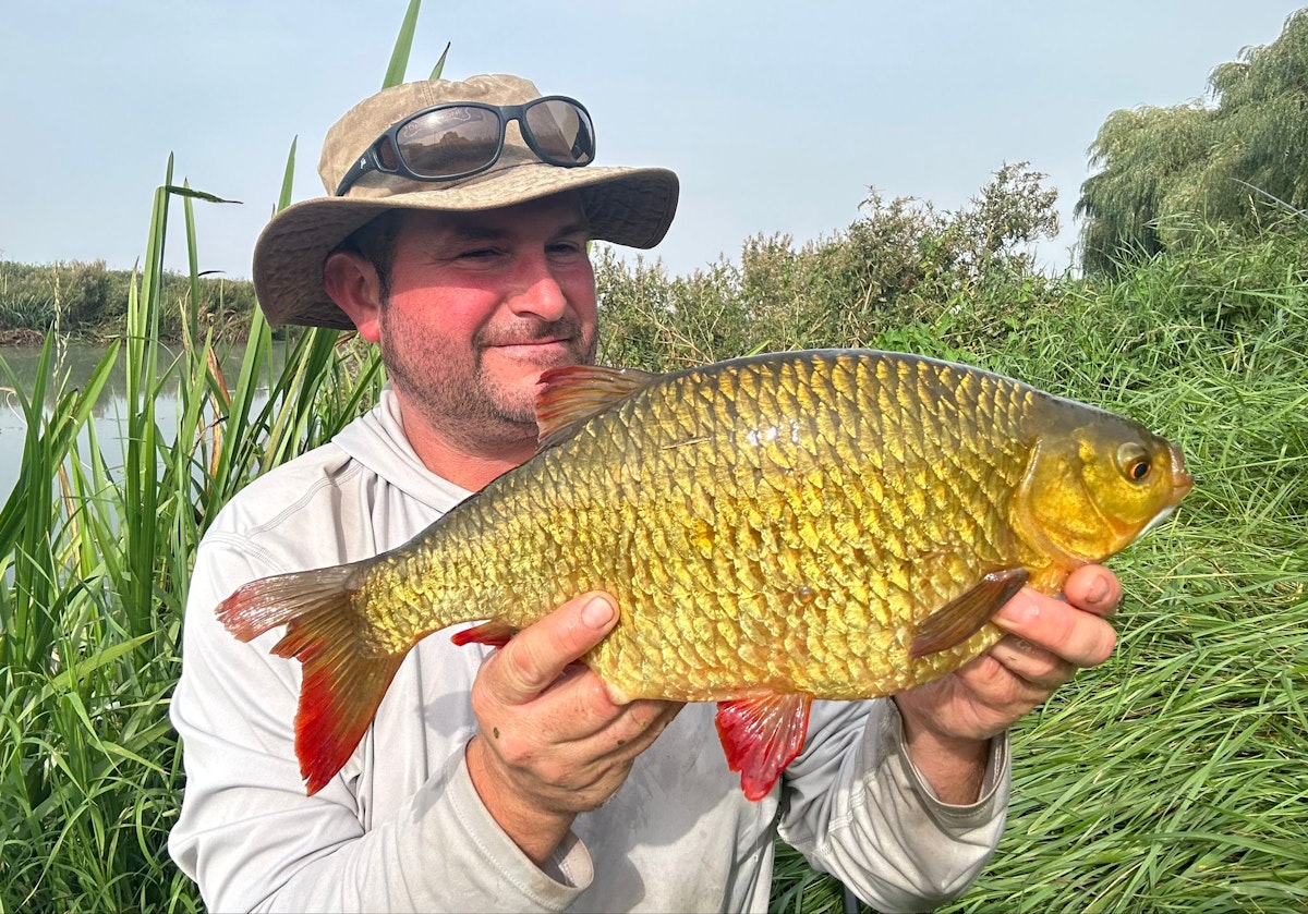 Final rudd fishing session of the season brings large specimen ...