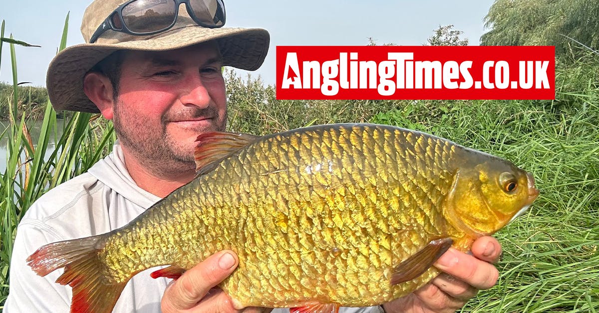 Final rudd fishing session of the season brings large specimen ...