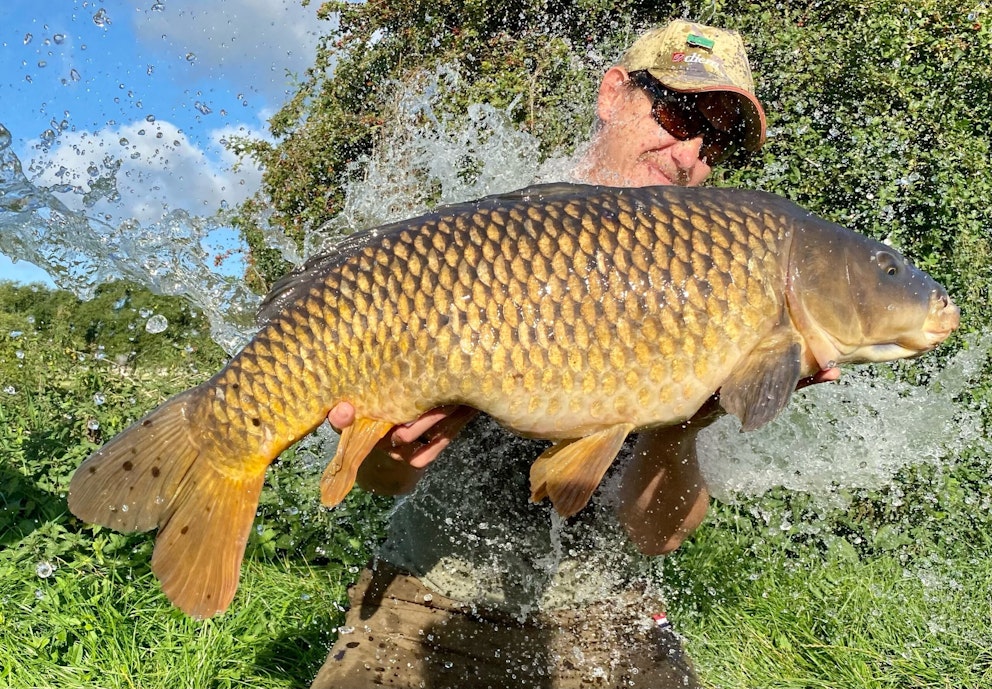 Superb River Trent carp almost drags angler’s rod in! | Angling Times