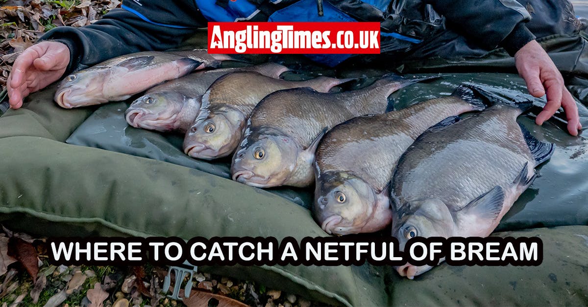 Venues to catch a big weight of bream