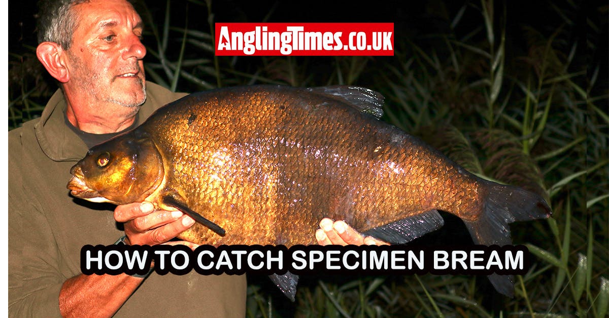 Six tips to catch your biggest bream