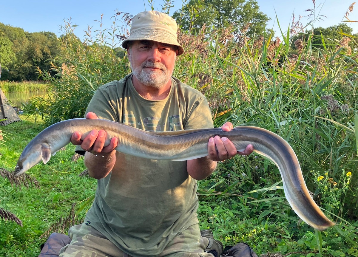 Big eel from only fishing session of the year on southern stillwater ...