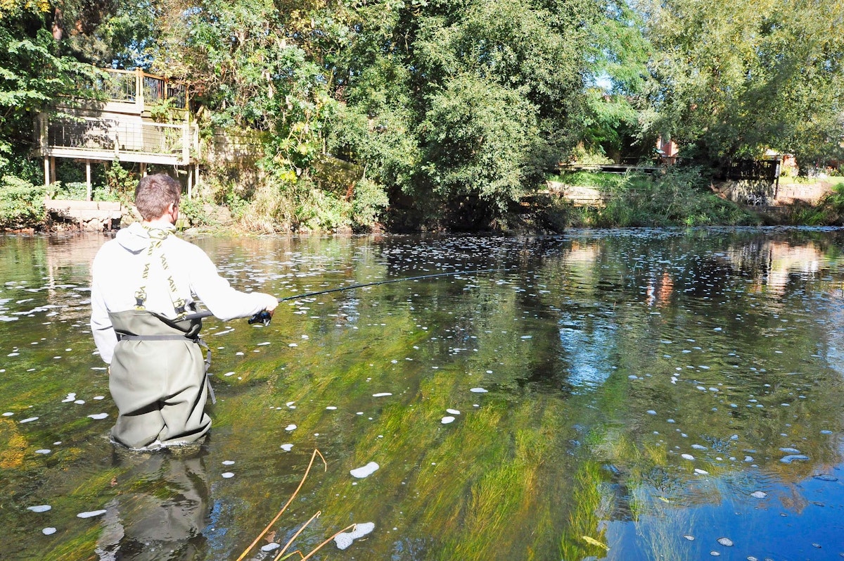 Fishing near me: The best easy access river stretches | Angling Times