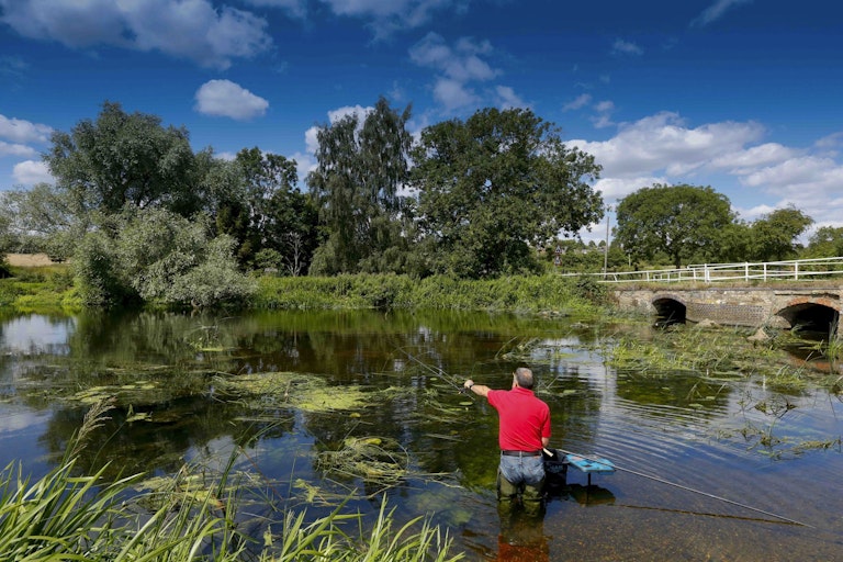 Fishing near me: The best easy access river stretches | Angling Times