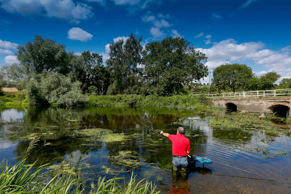 0% of English rivers reach ‘good’ overall status, report reveals ...