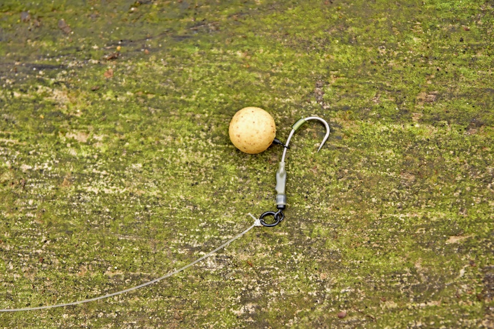 Why the ‘Ronnie’ is the best rig for carp fishing – Ian Russell ...