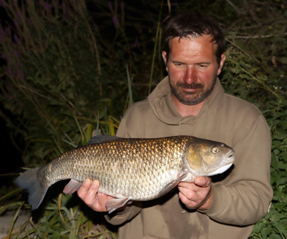 Rig change brings 14lb brace of chub | Angling Times