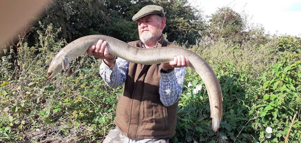 Enthusiastic angler waits 155 nights to hook giant specimen eel ...