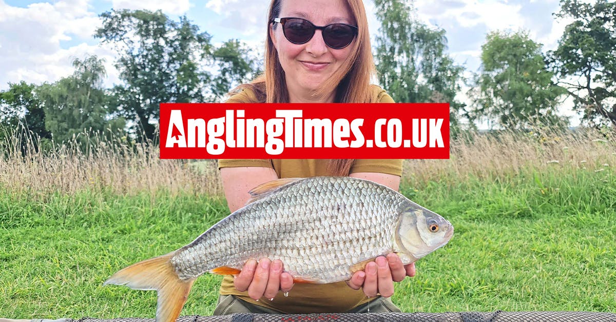 Pellet hookbait brings 3lb roach… on the float! | Angling Times