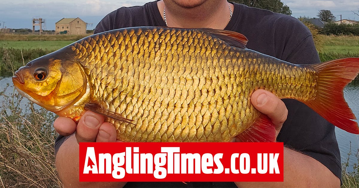 Monster river rudd smashes PB | Angling Times