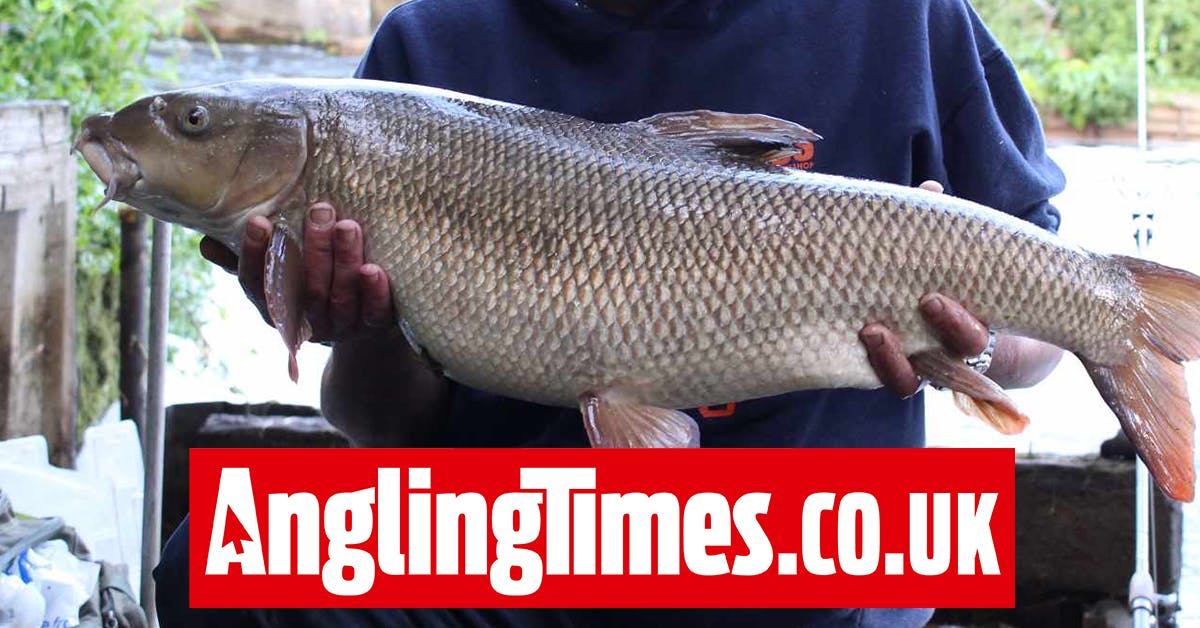 Angler ‘stunned’ as barbel best is smashed by Lea giant | Angling Times