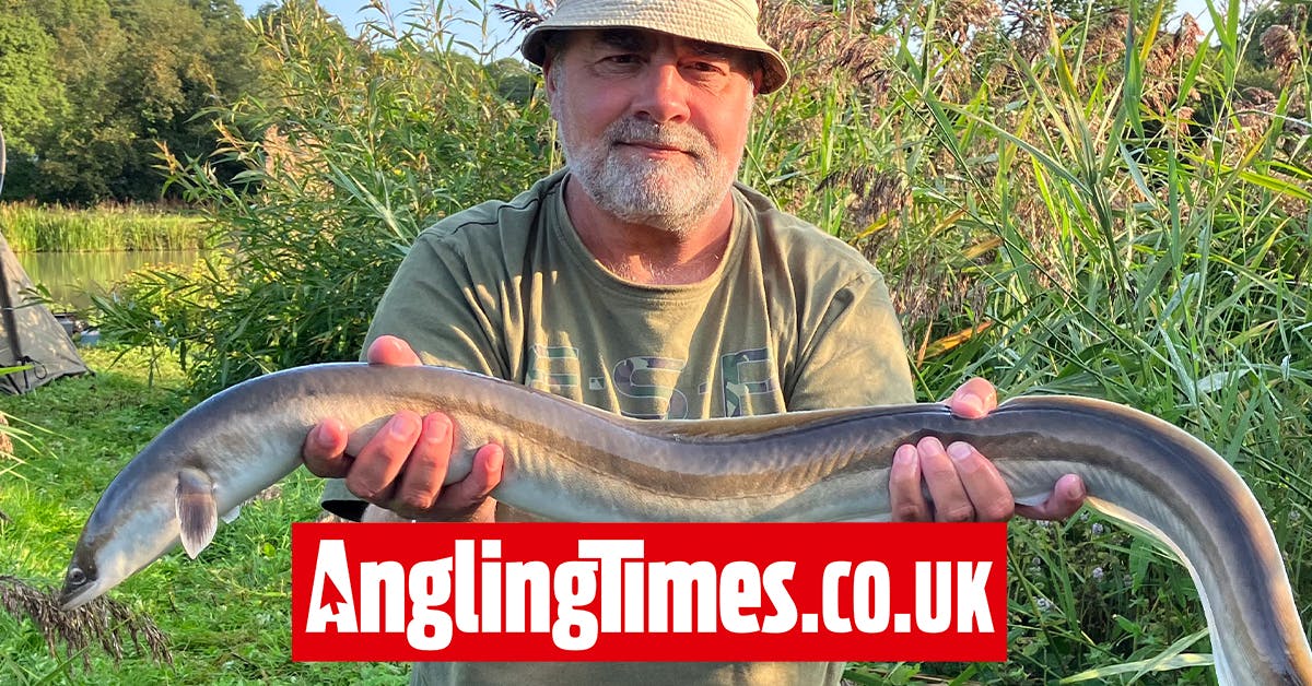 Big eel from only fishing session of the year on southern stillwater ...