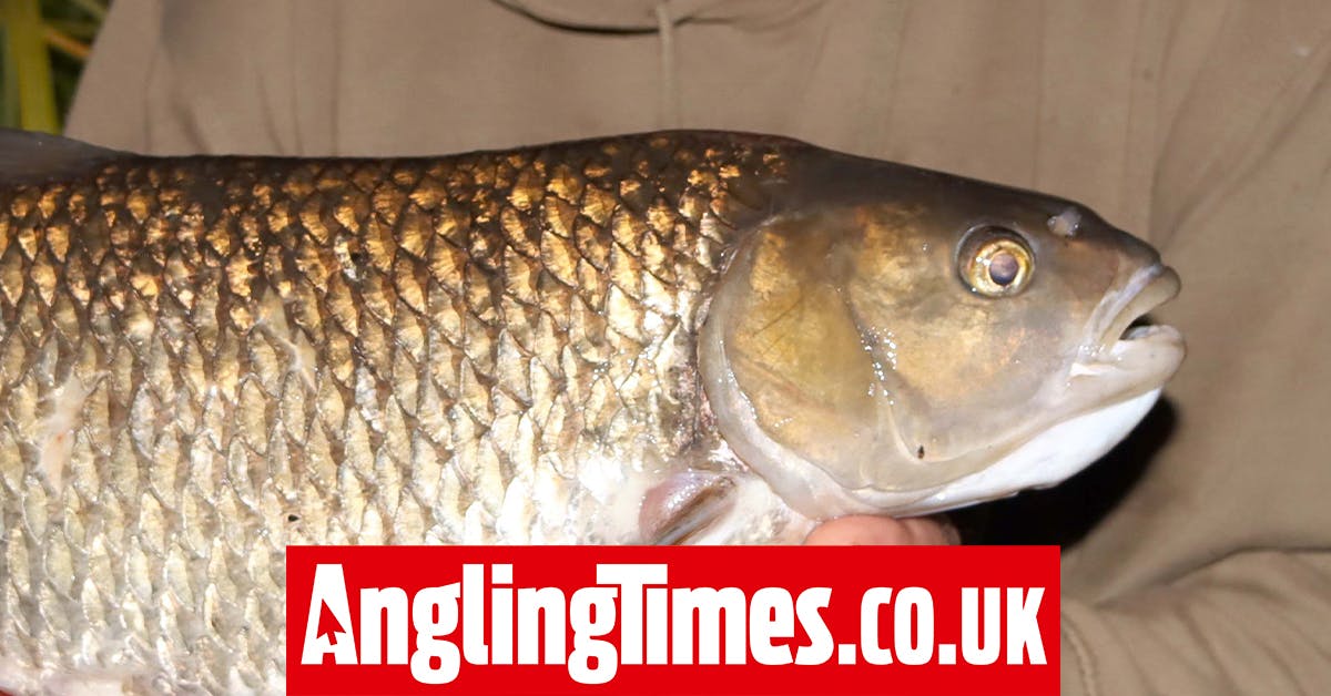 Rig change brings 14lb brace of chub | Angling Times