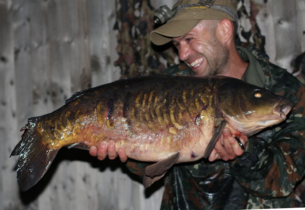 30lb-plus River Thames carp is a real warrior | Angling Times
