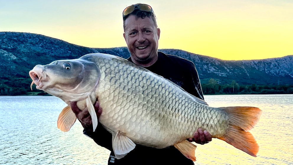 This angler caught a monster Croatian carp on match tackle… | Angling Times