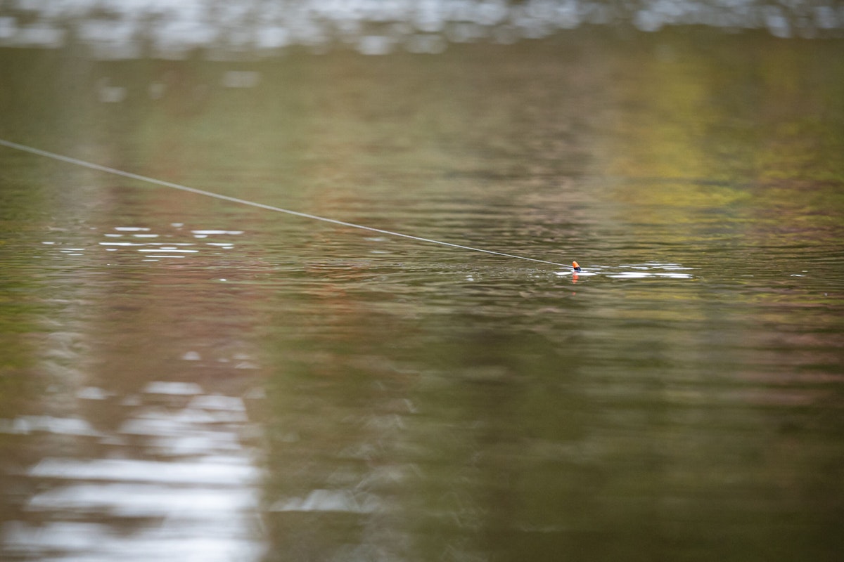 5 Tips for stick float fishing on rivers | Angling Times