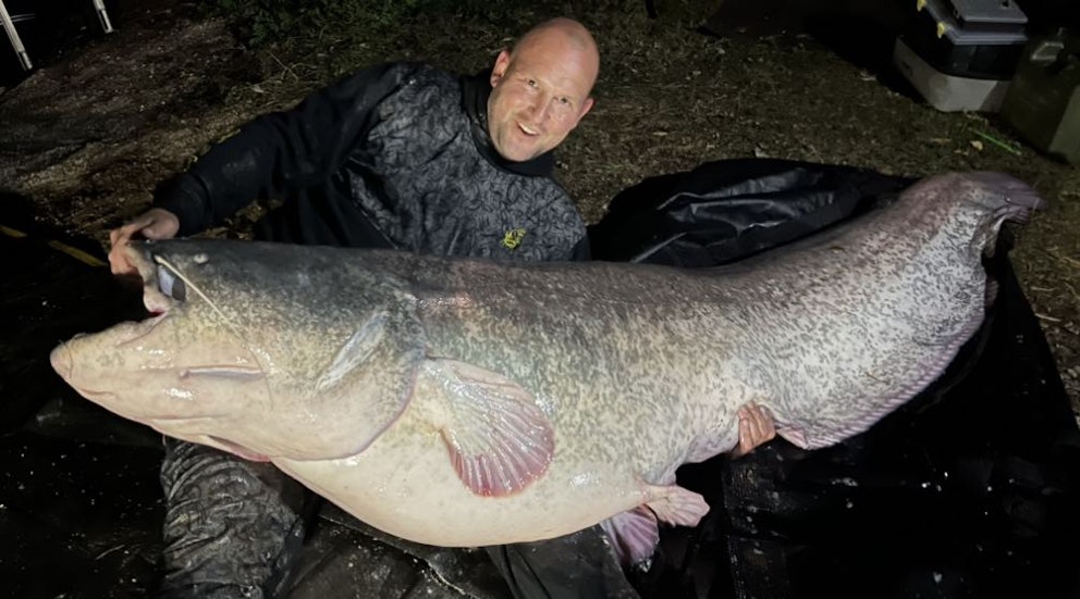 Essex angler catches astonishing record haul of monster catfish on ...