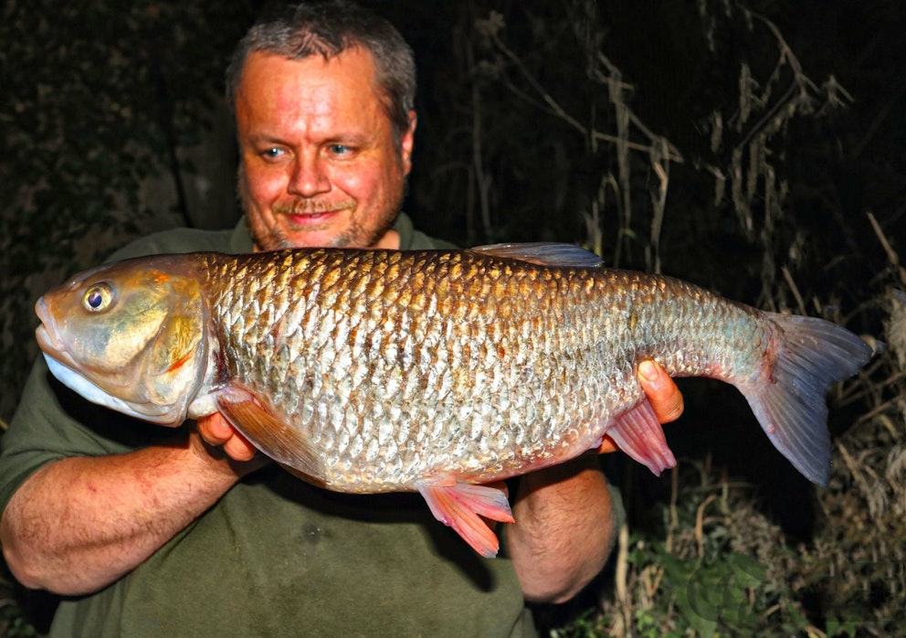 River angler avoids the crayfish to catch monster Loddon chub | Angling ...