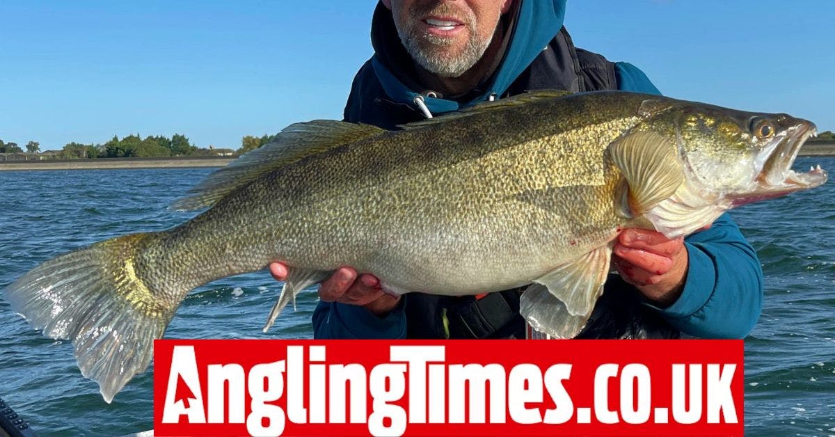 Father and son trip leads to PB zander | Angling Times