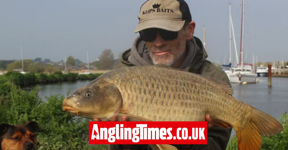 Mullet angler catches pair of ‘sea carp’ from local harbour | Angling Times