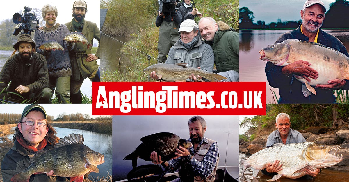 Fish Sitcom Three Of The Craziest Monster Fish Caught In 2015 Featured