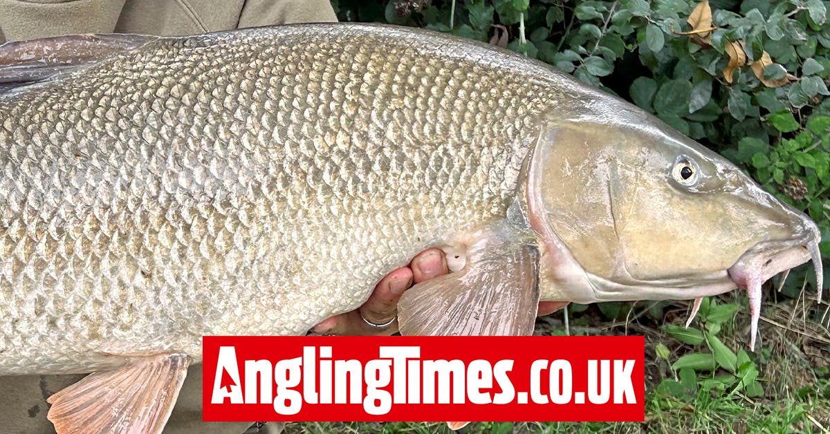 Huge barbel landed after 240-mile round trip | Angling Times