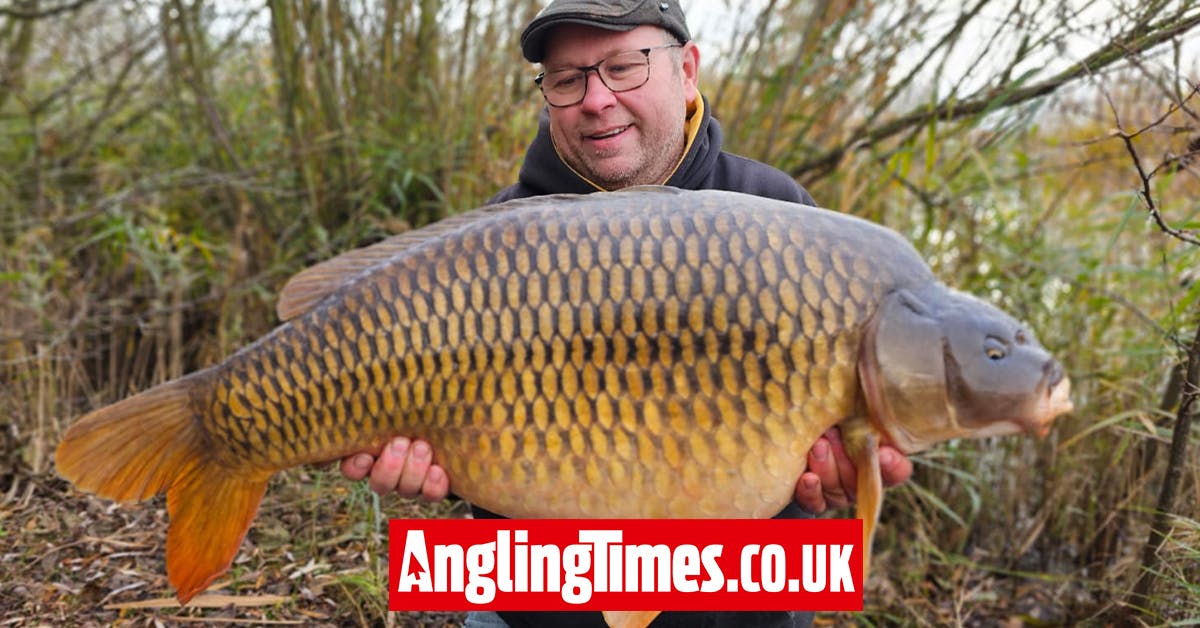 Beautiful common carp is Scott’s 10th 2023 40lber | Angling Times