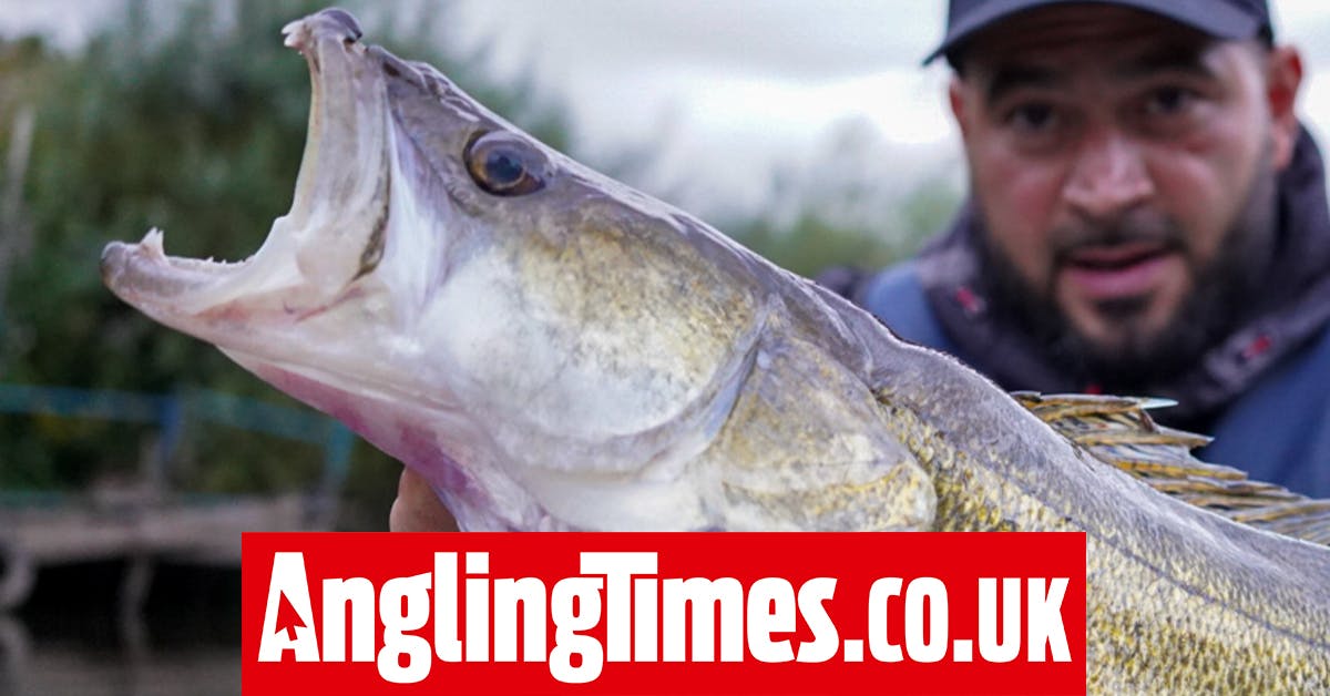 Angler’s boat ‘towed upstream’ by 3ft long zander on Midlands river ...