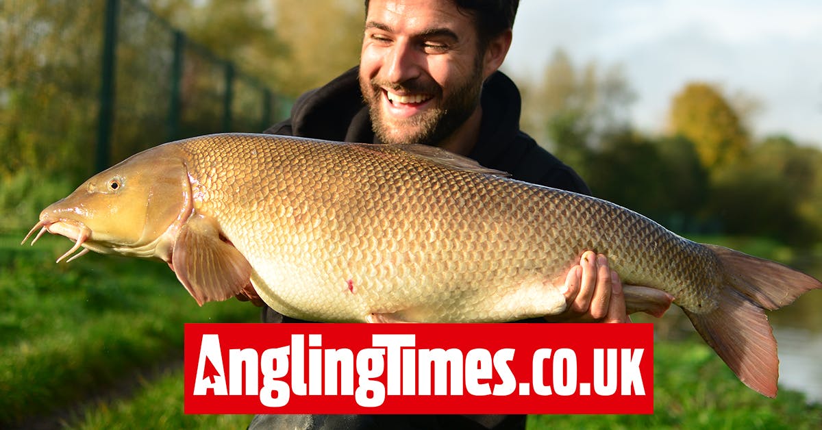 Superb River Kennet barbel netted on third attempt | Angling Times
