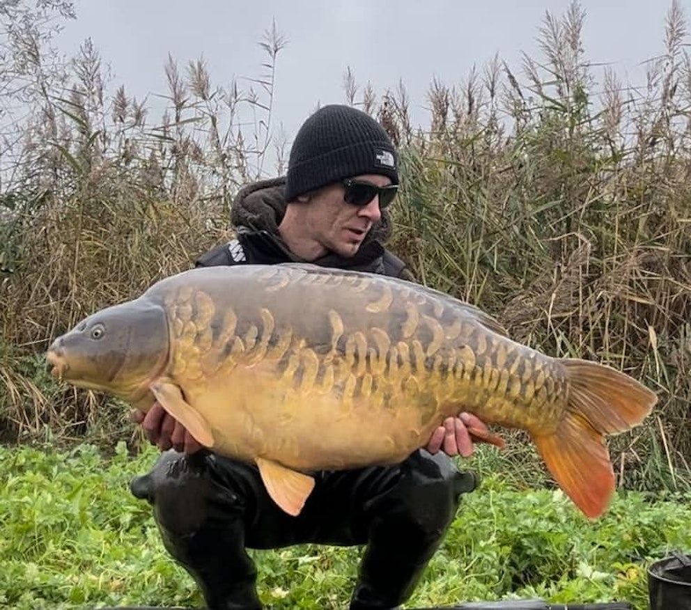 Huge mirror carp grows 20lb in 2 years to set new Linear Fisheries Tar ...