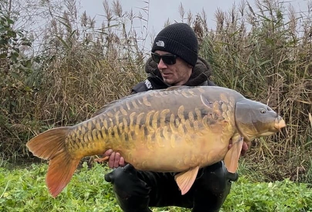 Huge mirror carp grows 20lb in 2 years to set new Linear Fisheries Tar ...