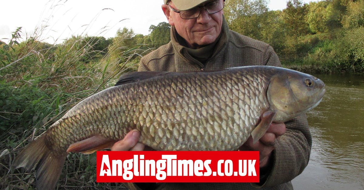 ‘Rare’ Severn chub is a real giant | Angling Times