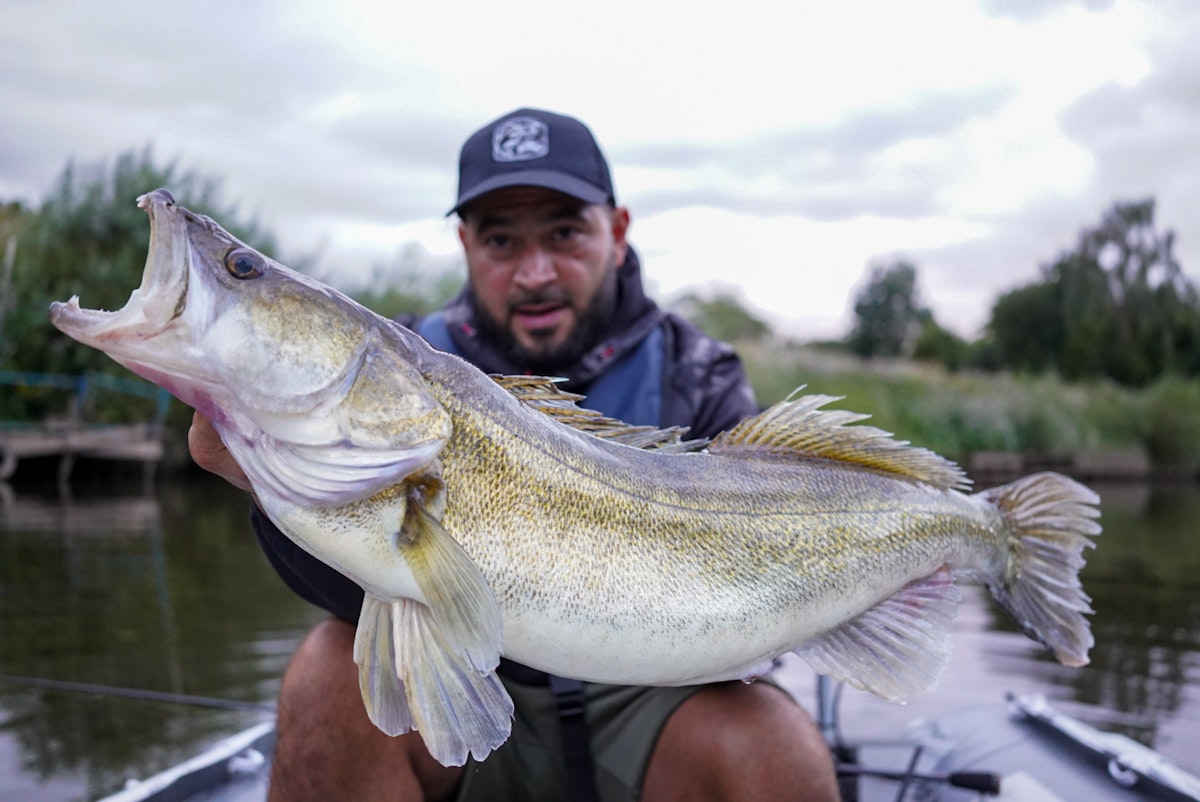 Angler’s boat ‘towed upstream’ by 3ft long zander on Midlands river ...