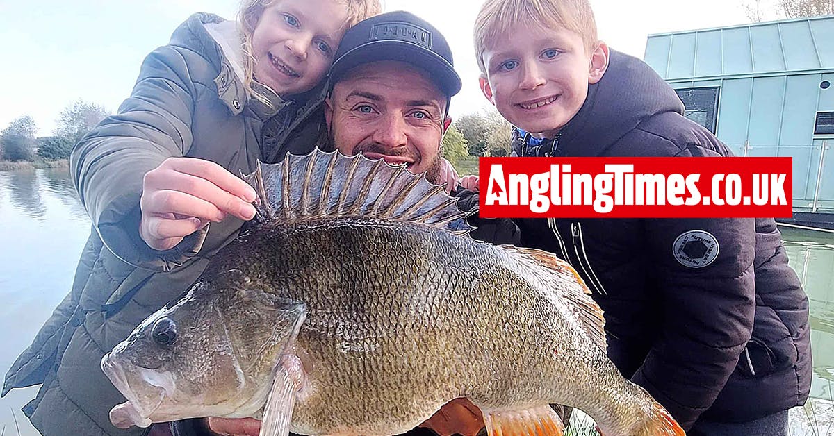 Giant perch landed at carp fishing holiday complex | Angling Times