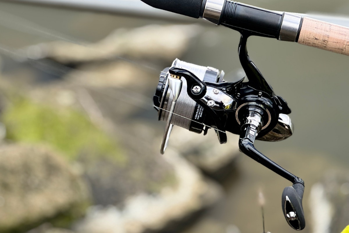 Best Feeder Reels For 2025