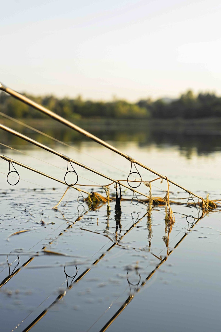 How to plan an epic European carp fishing holiday | Angling Times