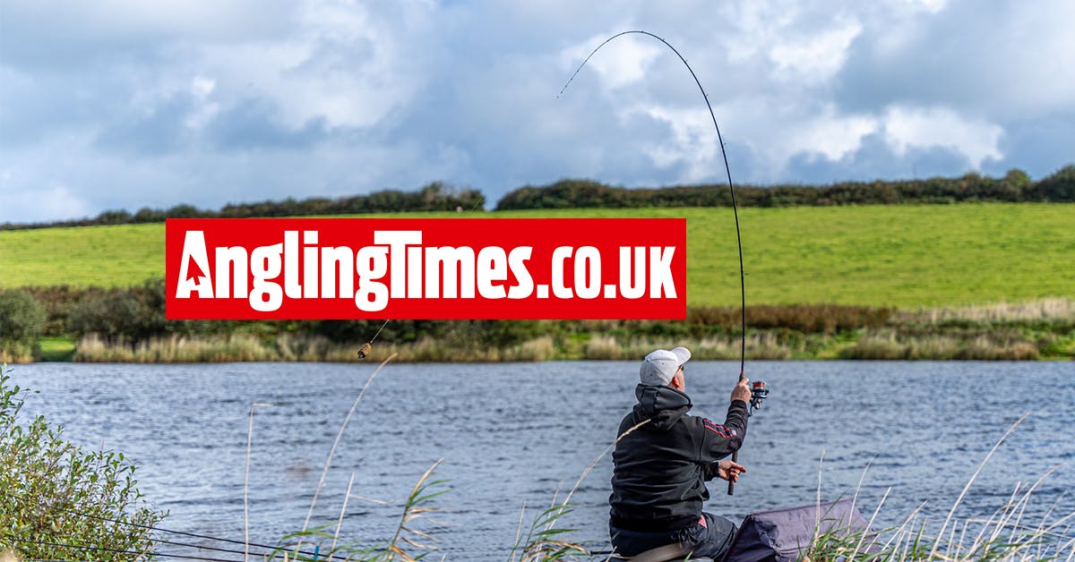 New Feeder Masters sponsor revealed | Angling Times