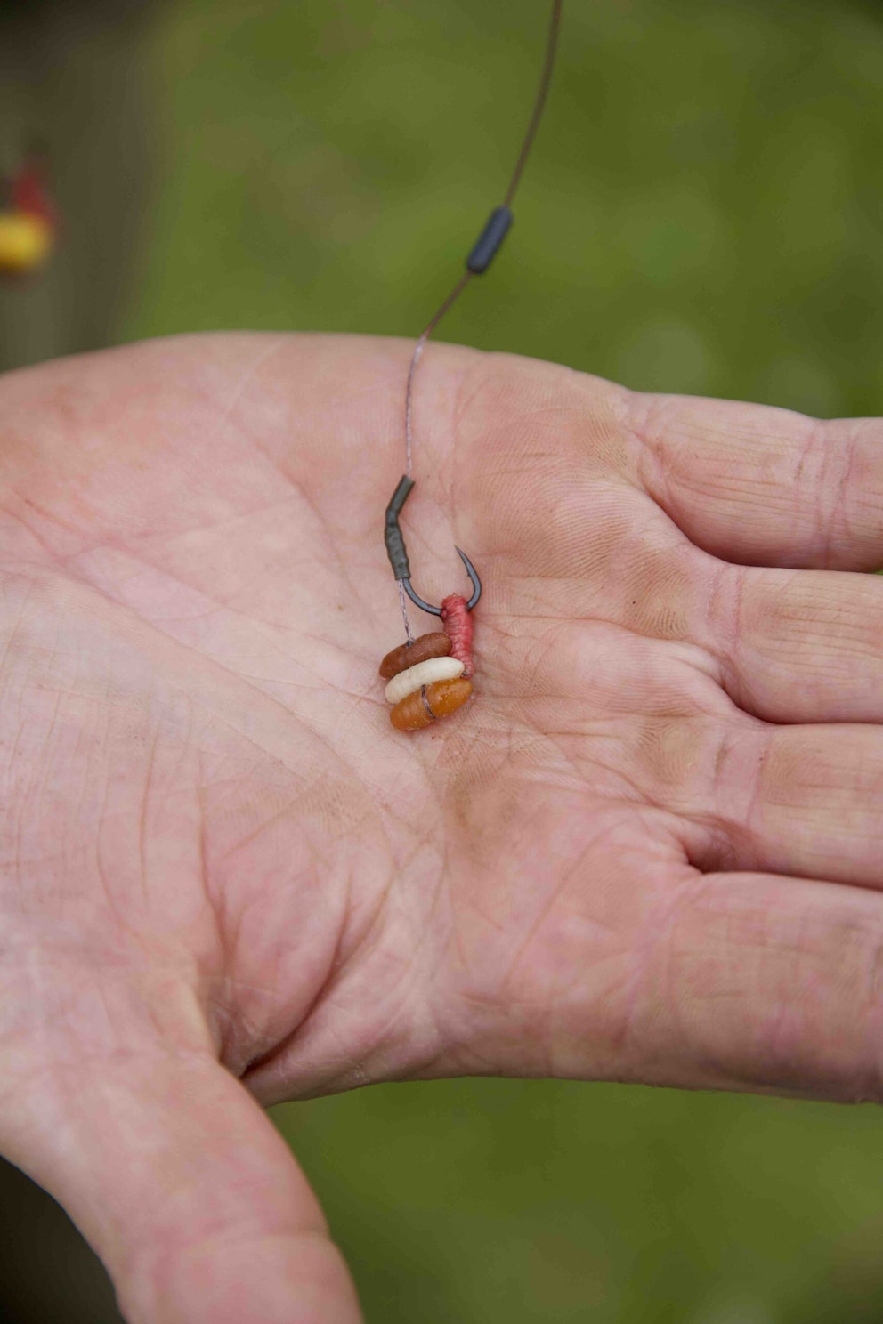 Tips to catch specimen bream