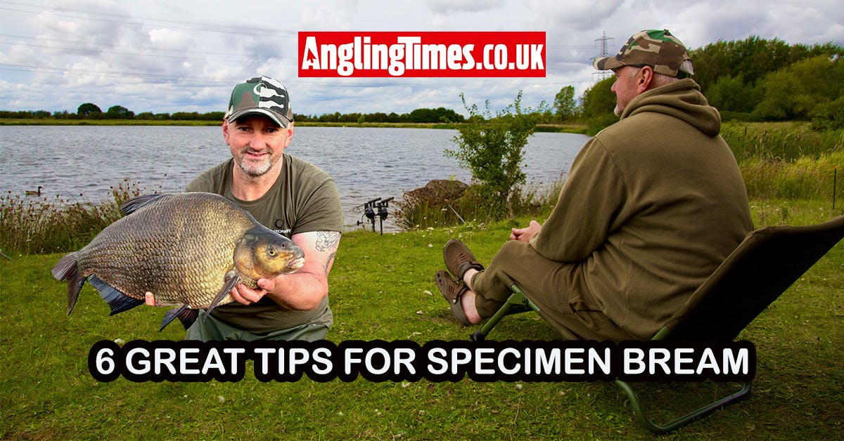 Tips to catch specimen bream