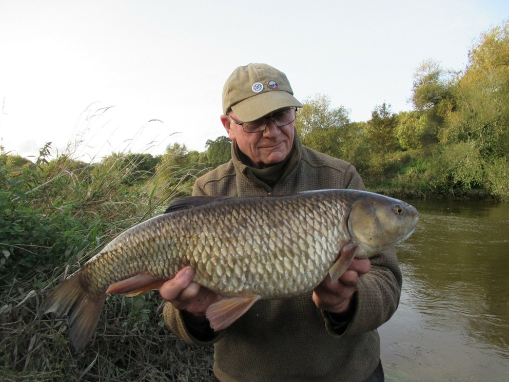 ‘Rare’ Severn chub is a real giant | Angling Times