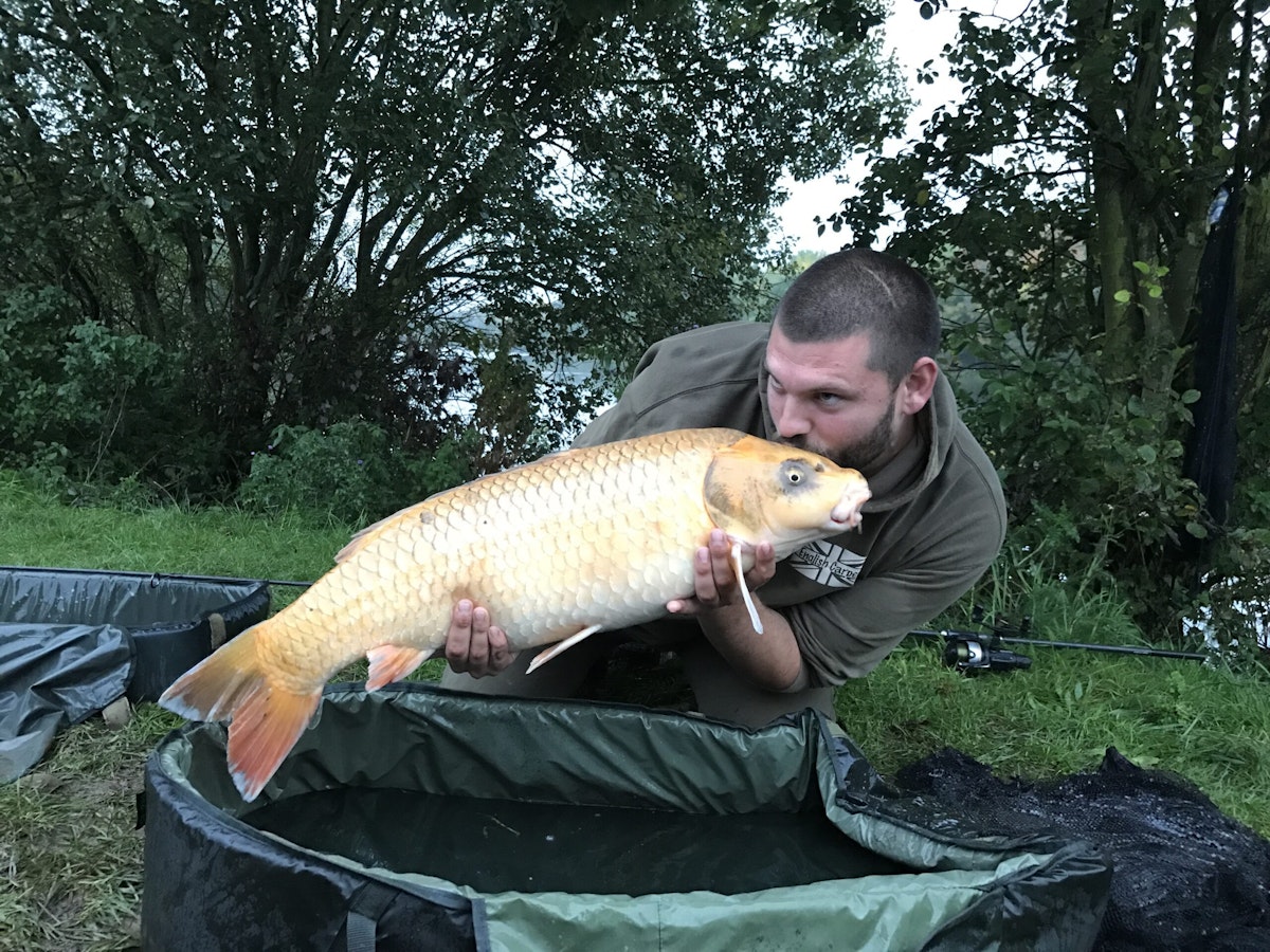 Famous Midlands Koi Carp is ‘Retired’ | Angling Times