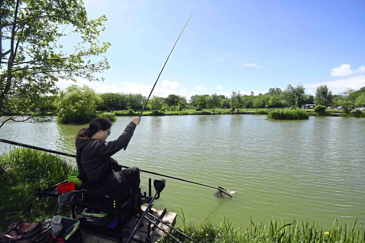 Fishing near me: Best commercial lakes for silverfish | Angling Times