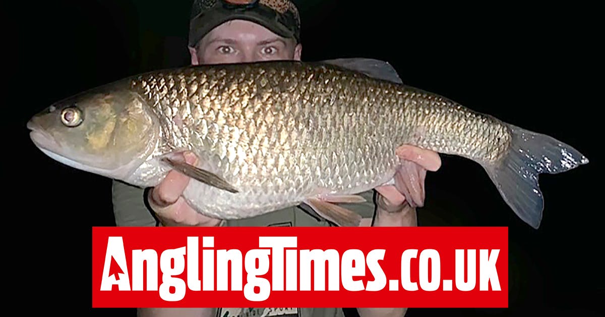 River Thames angler will ‘always remember’ this monster chub… | Angling ...