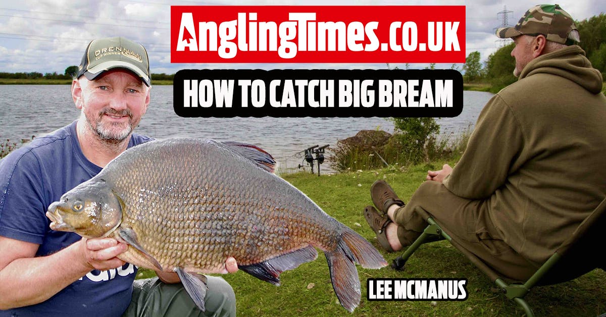 Try these 6 fishing tips and catch your biggest bream | Angling Times