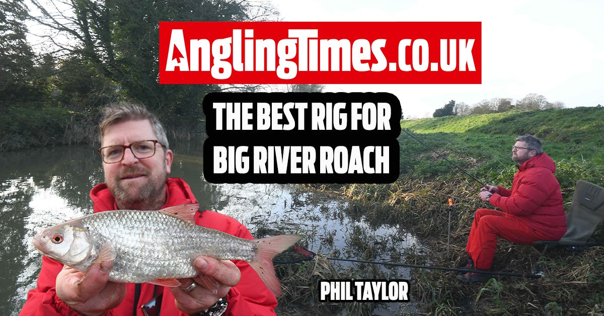 Roach Fishing on Coloured Rivers