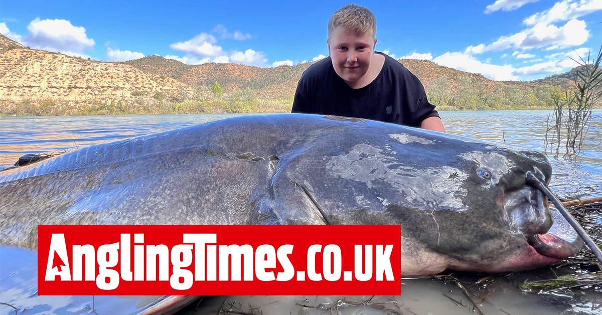 11-Year-Old Schoolboy Lands a Monster Catfish! | Angling Times