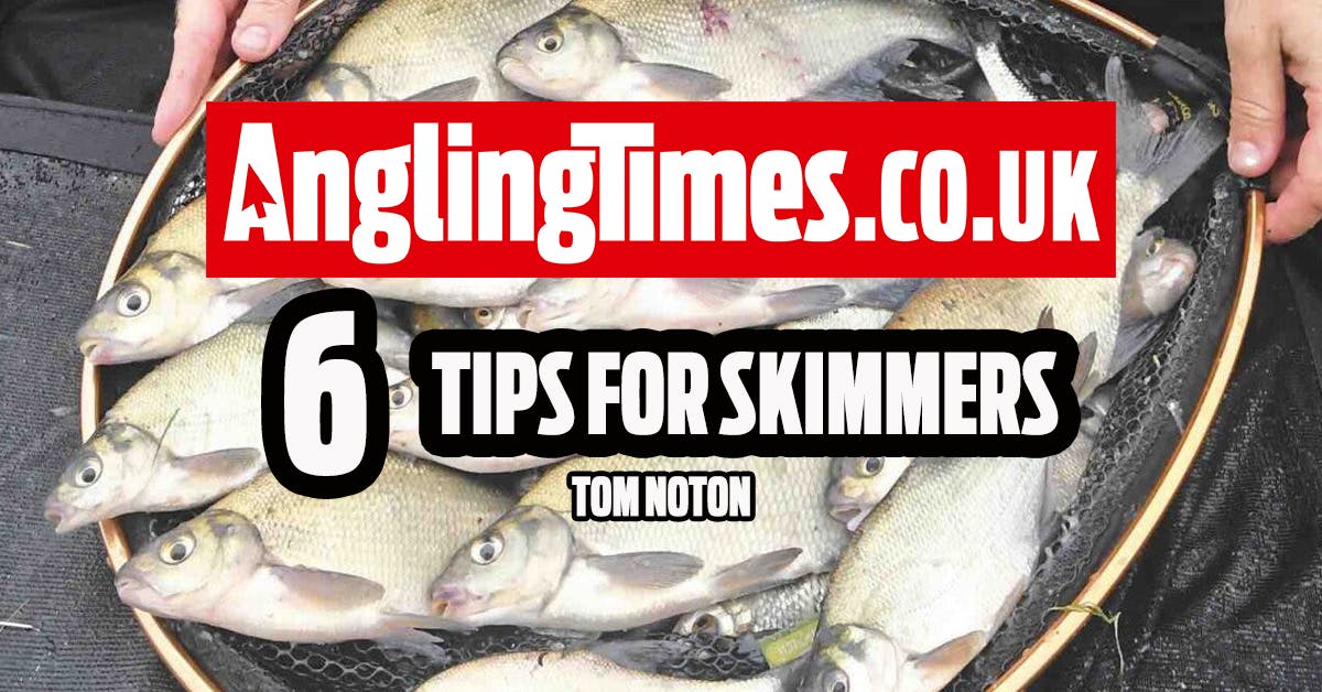 Increase Your Skimmer Catch: Expert Advice and Techniques