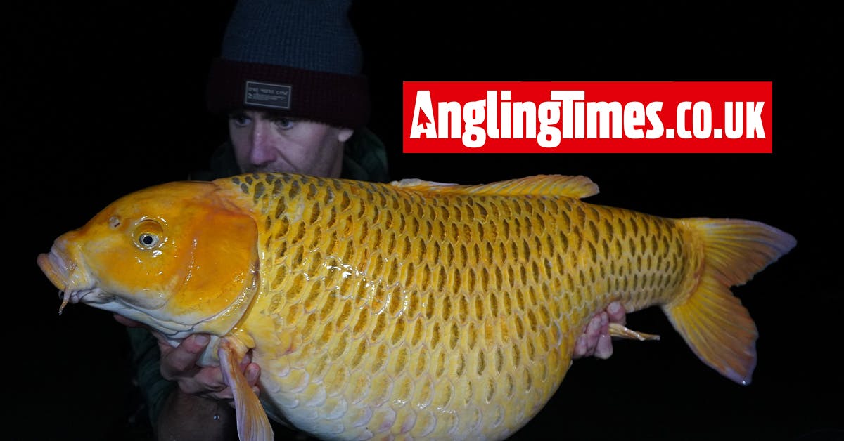 Angler who thought he ‘would never fish again’ catches one of Europe’s ...